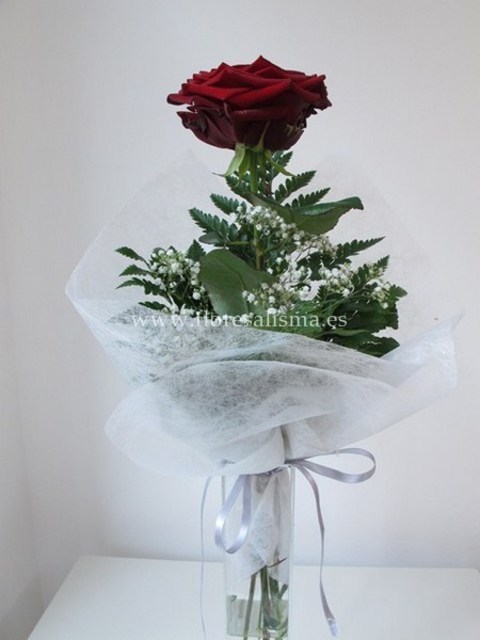 Rosa individual - Flores Alisma